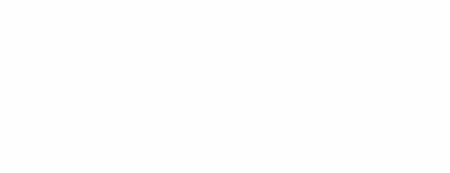 WLAN, E Mobility, Smart Room and Digital Signage – LAN1